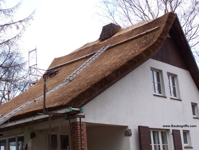 Ein Blick unter das Reetdach